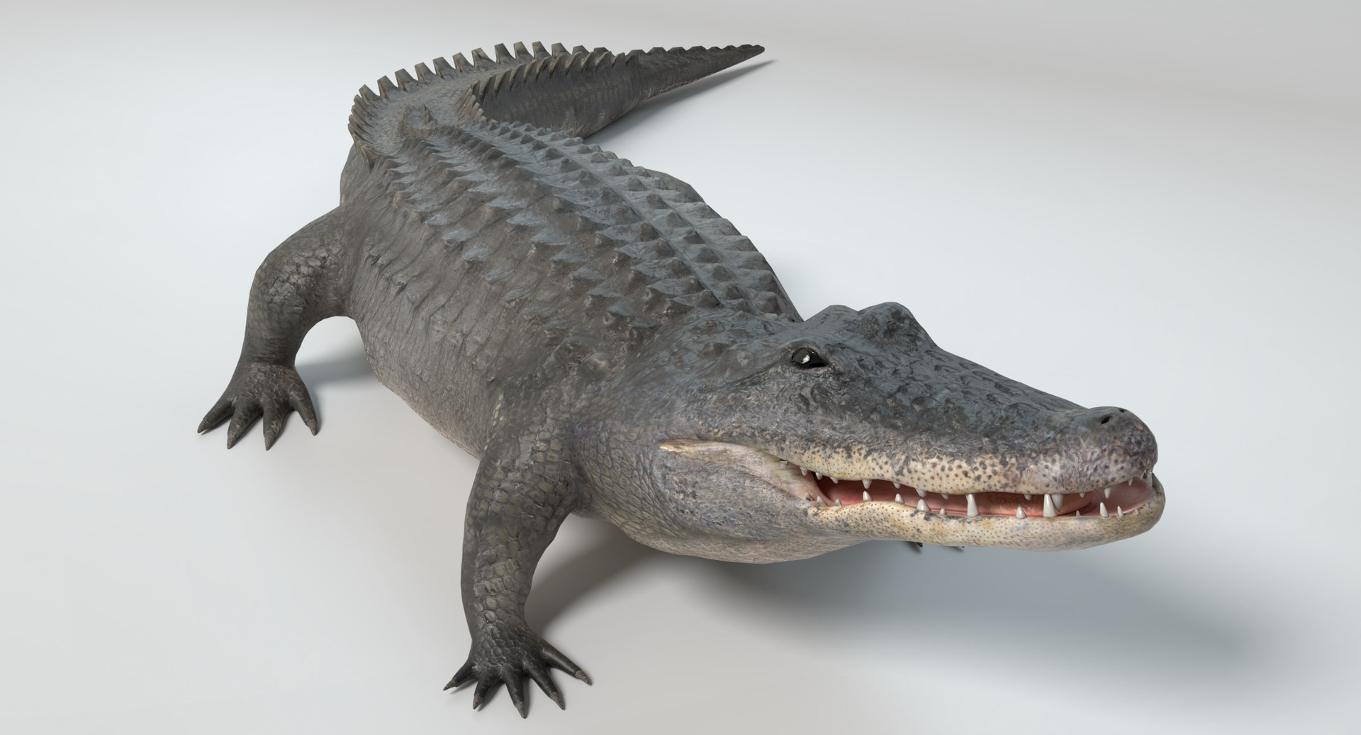 3D alligator animations - TurboSquid 1273766