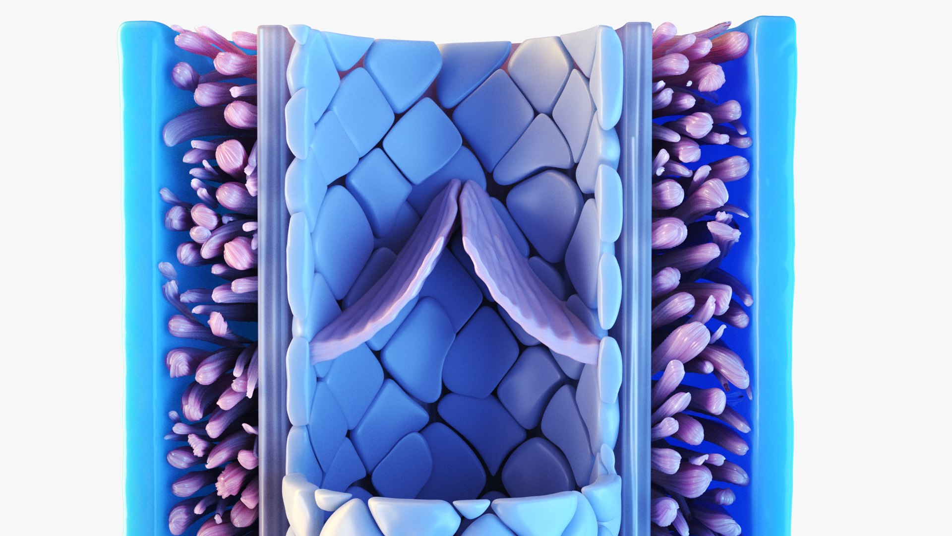 3D Vein Artery Anatomy Model - TurboSquid 1930210