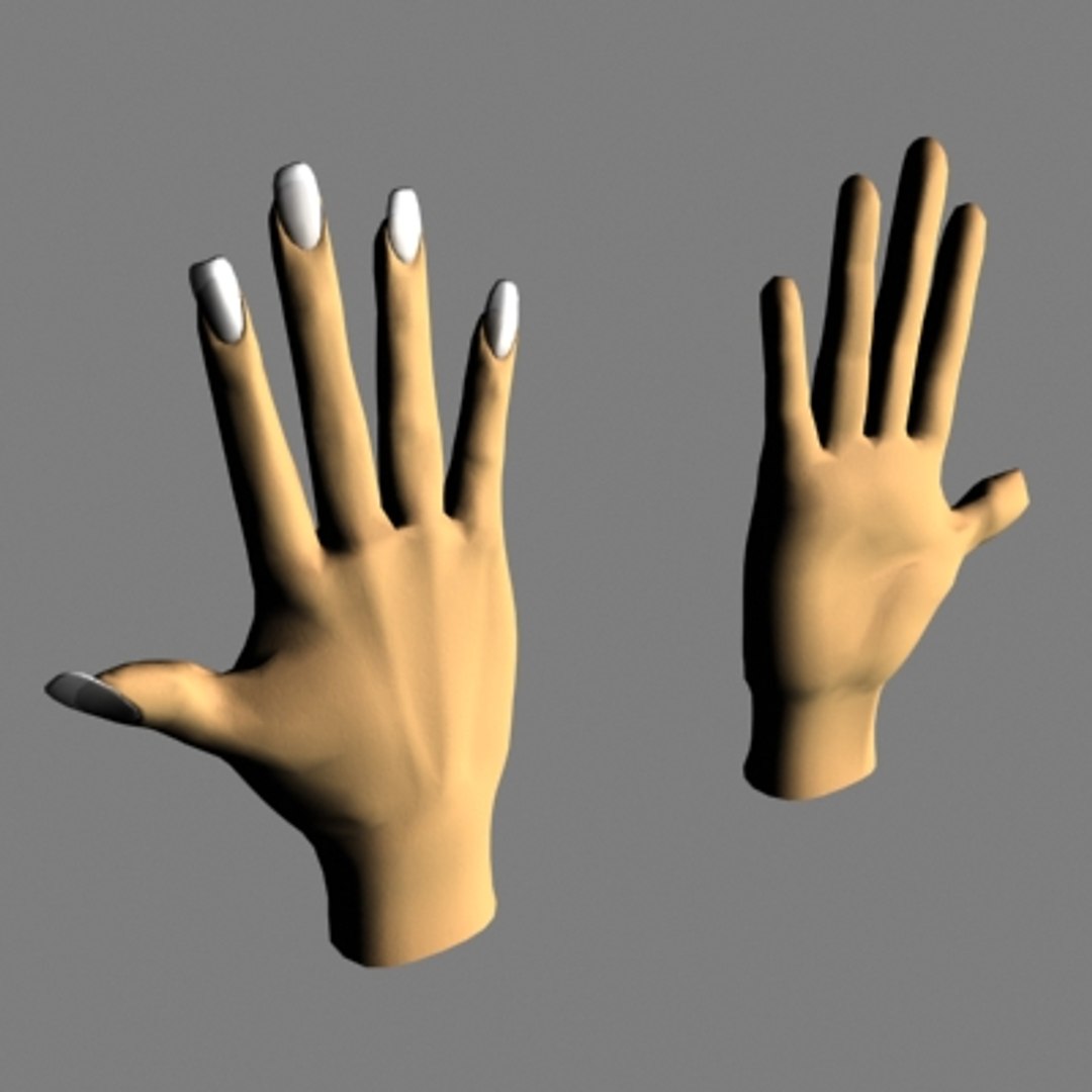 Male Female Hands Max