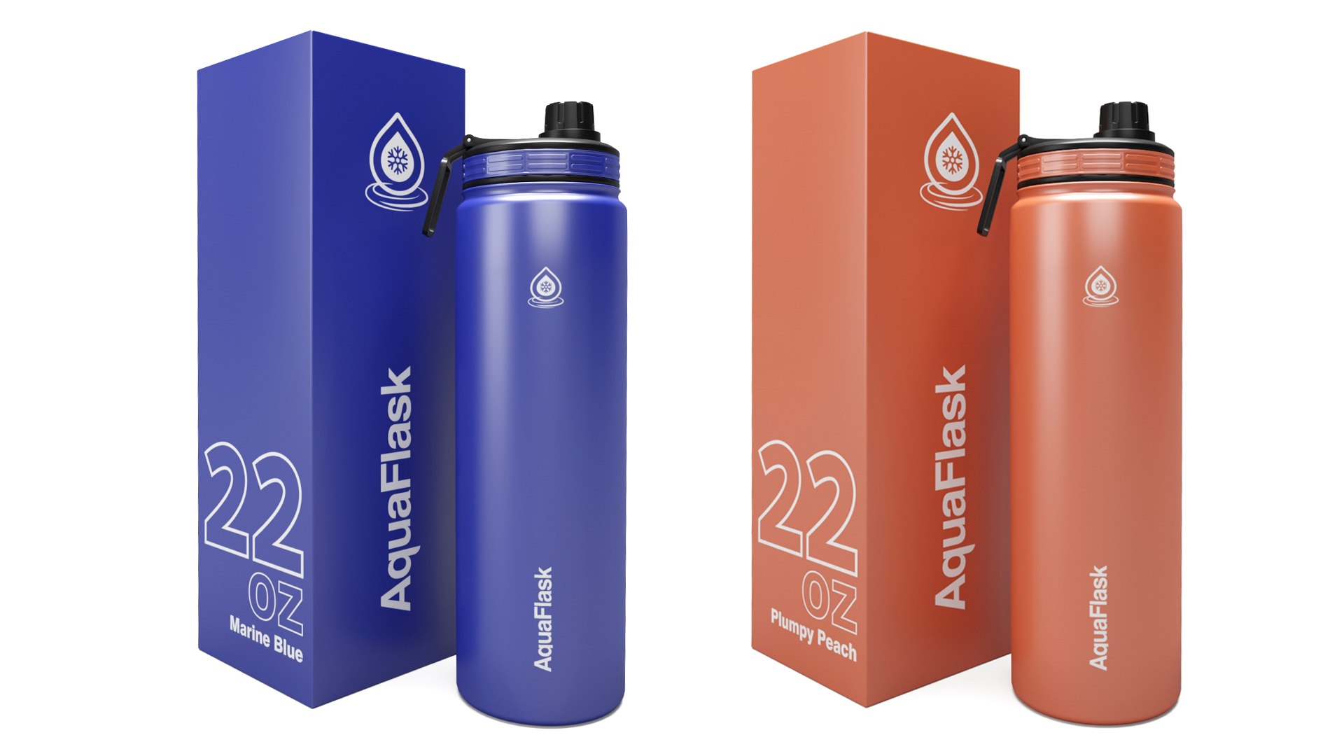 3D Model Aqua Flask 22 Oz - TurboSquid 1931116