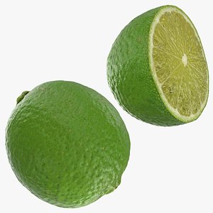 Download Free & Premium Lime 3D Models | TurboSquid