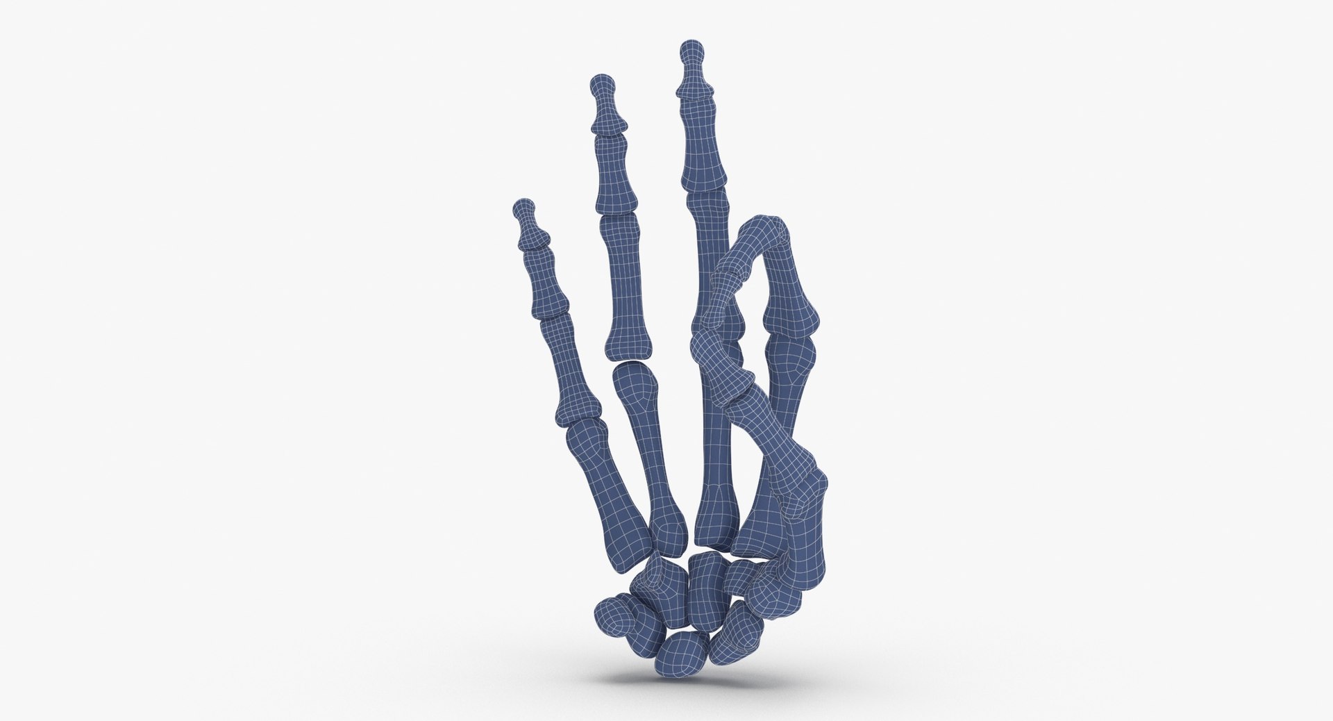 3D Human Hand Bones Ok - TurboSquid 1610611