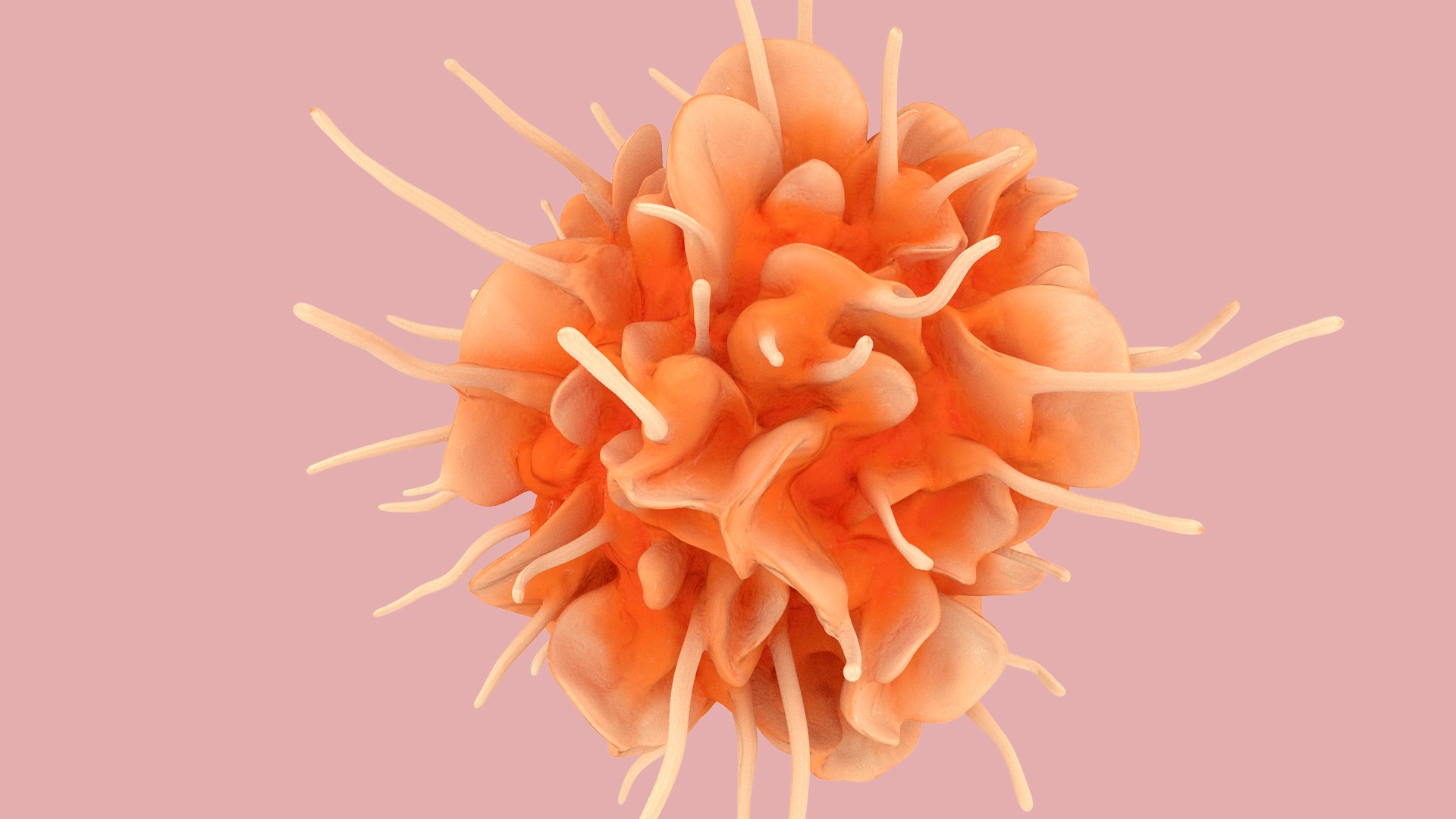Dendritic Cell Model - TurboSquid 2217393