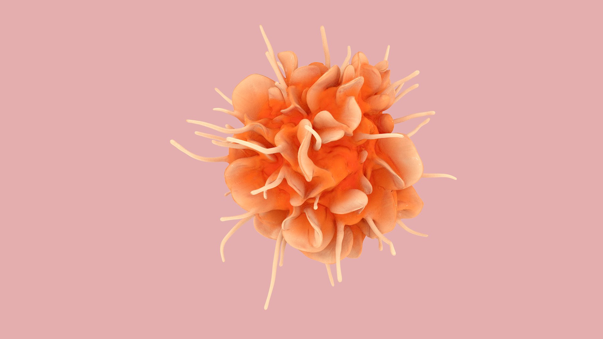 Dendritic Cell Model - TurboSquid 2217393