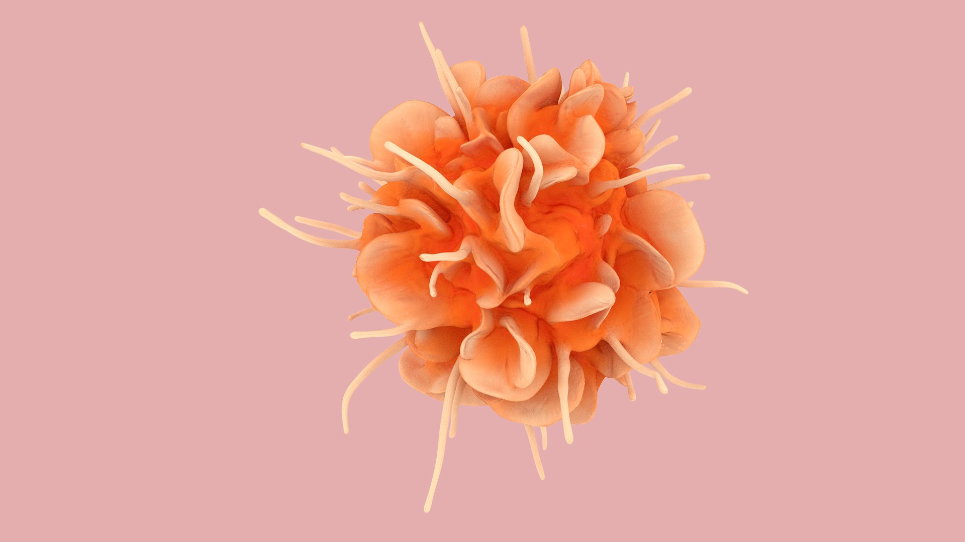 Dendritic Cell Model - TurboSquid 2217393