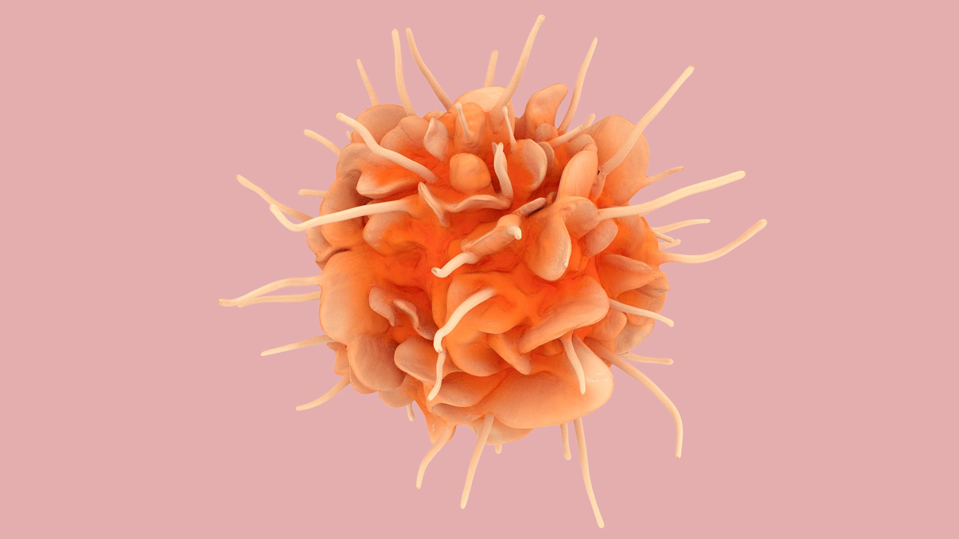 Dendritic Cell Model - TurboSquid 2217393