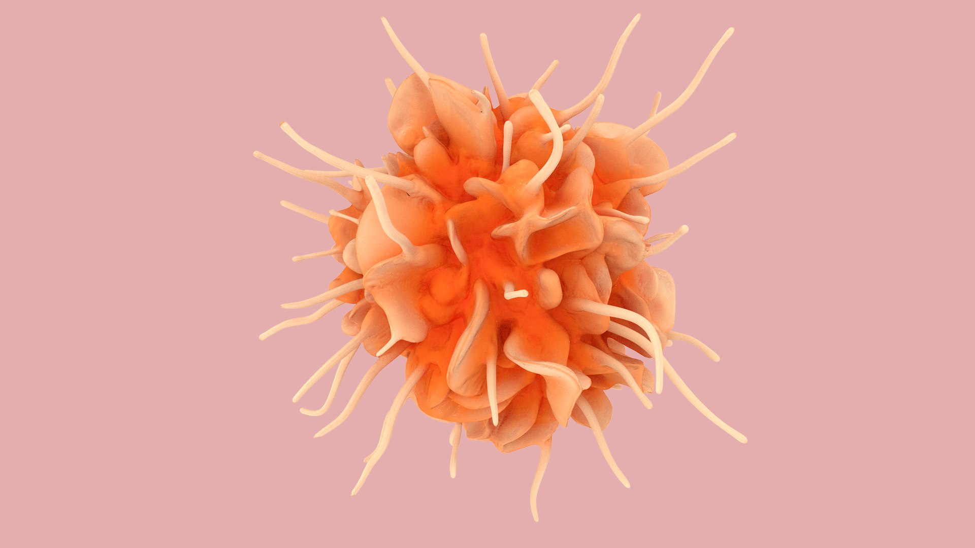 Dendritic Cell Model - TurboSquid 2217393