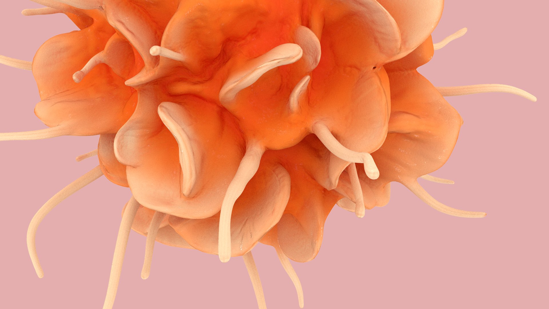 Dendritic Cell Model - TurboSquid 2217393