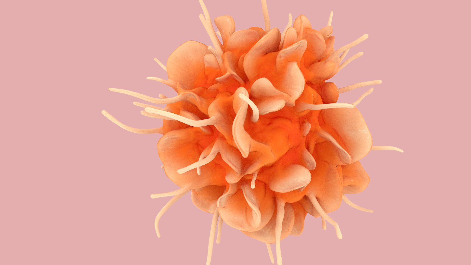 Dendritic Cell Model - TurboSquid 2217393