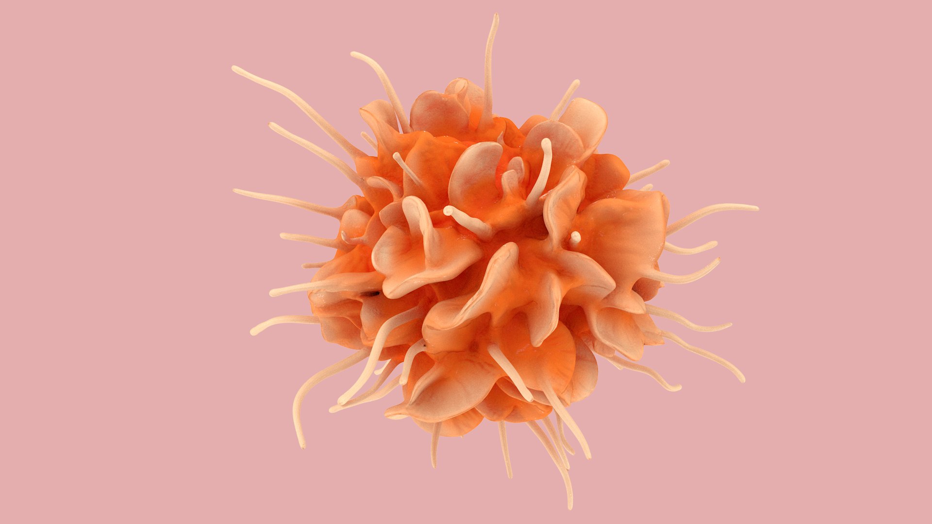 Dendritic Cell Model - TurboSquid 2217393