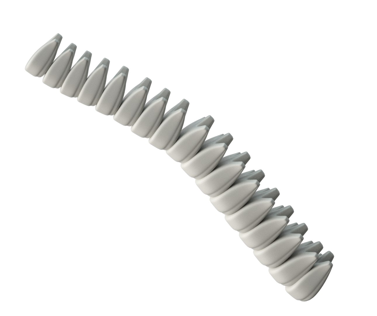 3D simple human spine - TurboSquid 1493665