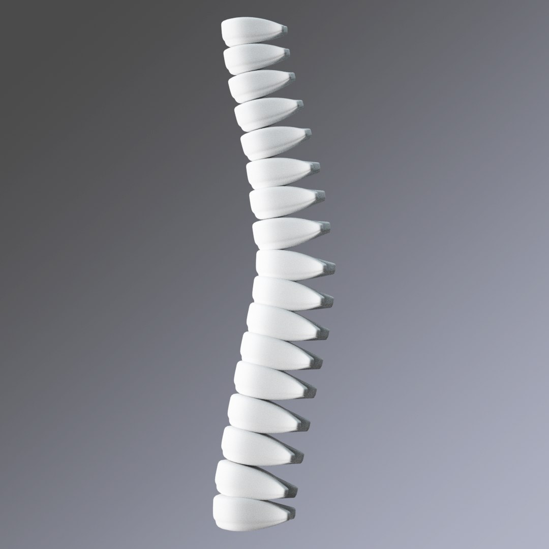 3D simple human spine - TurboSquid 1493665