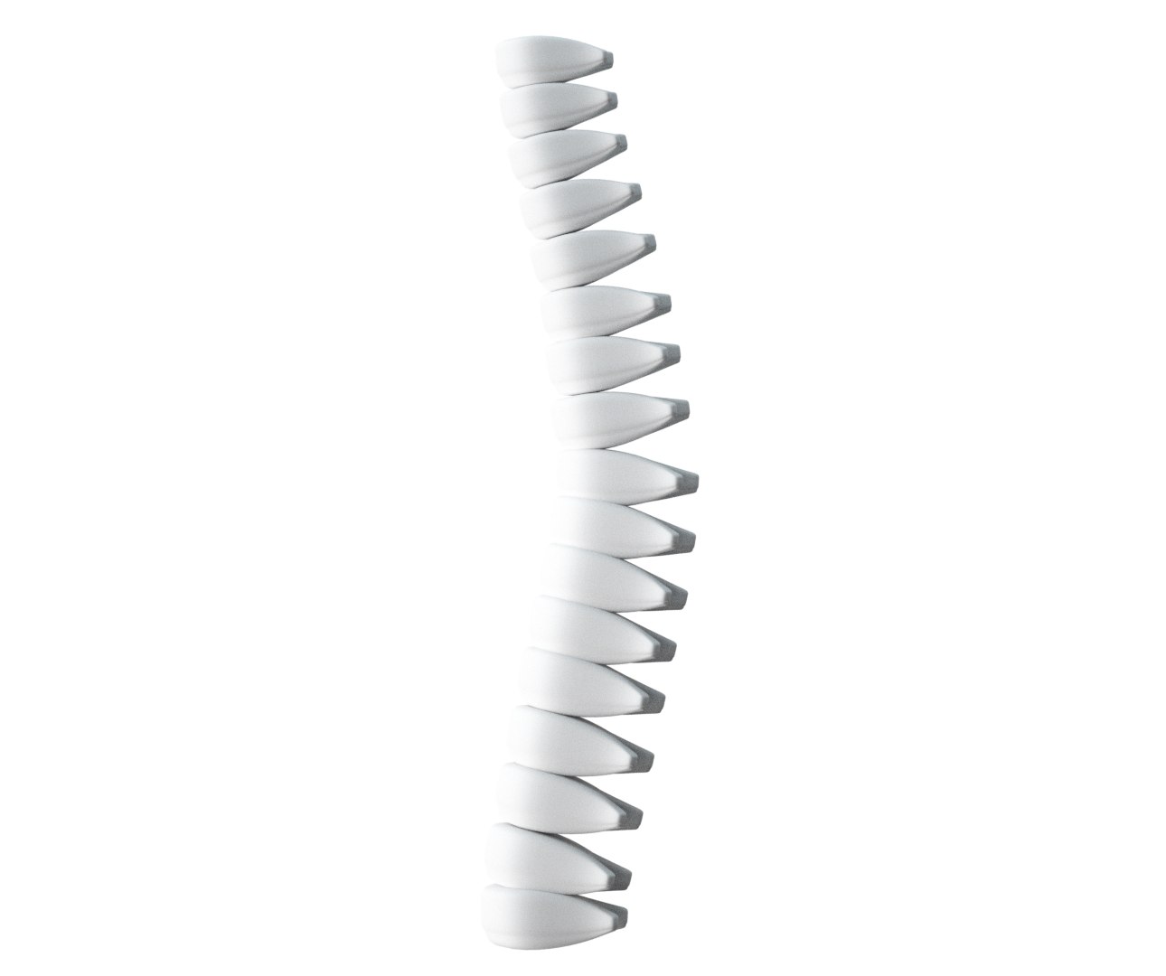 3D simple human spine - TurboSquid 1493665