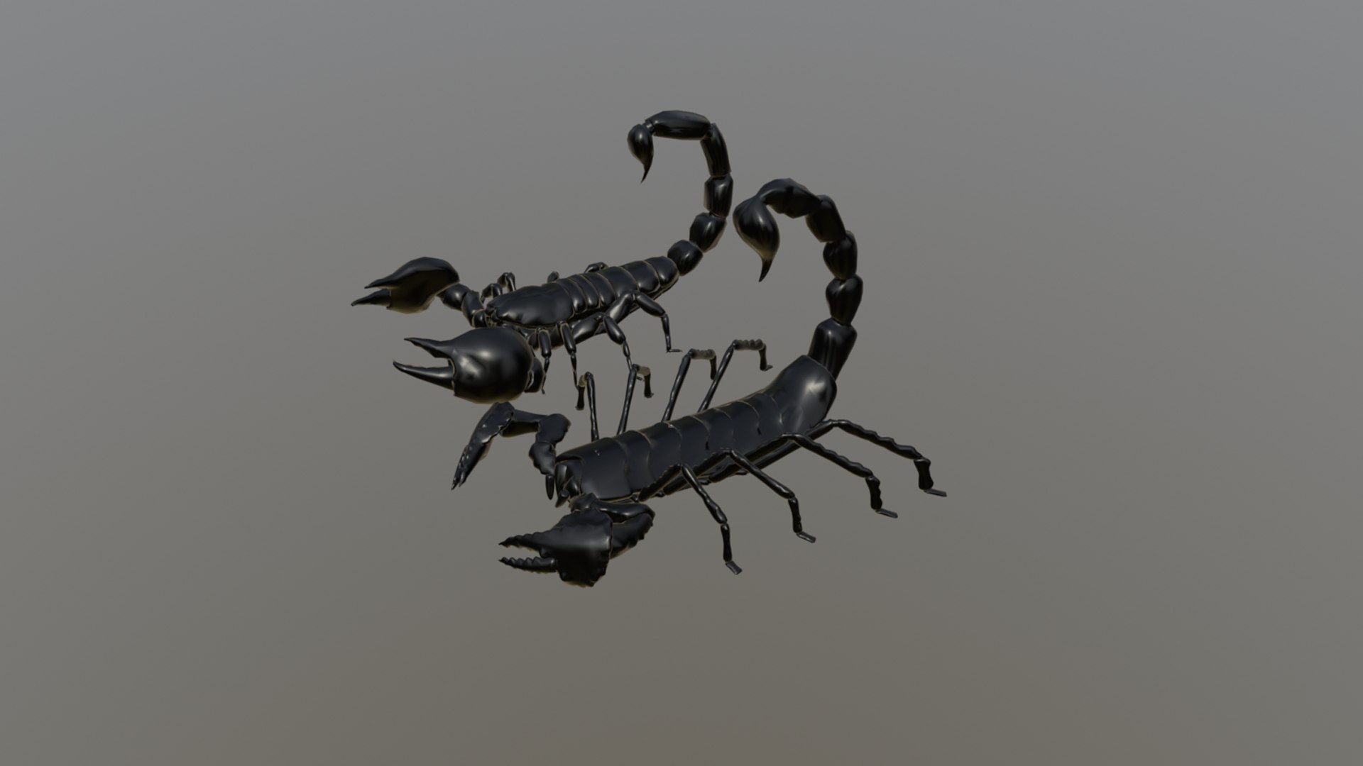 Scorpions 3D Model - TurboSquid 2312976