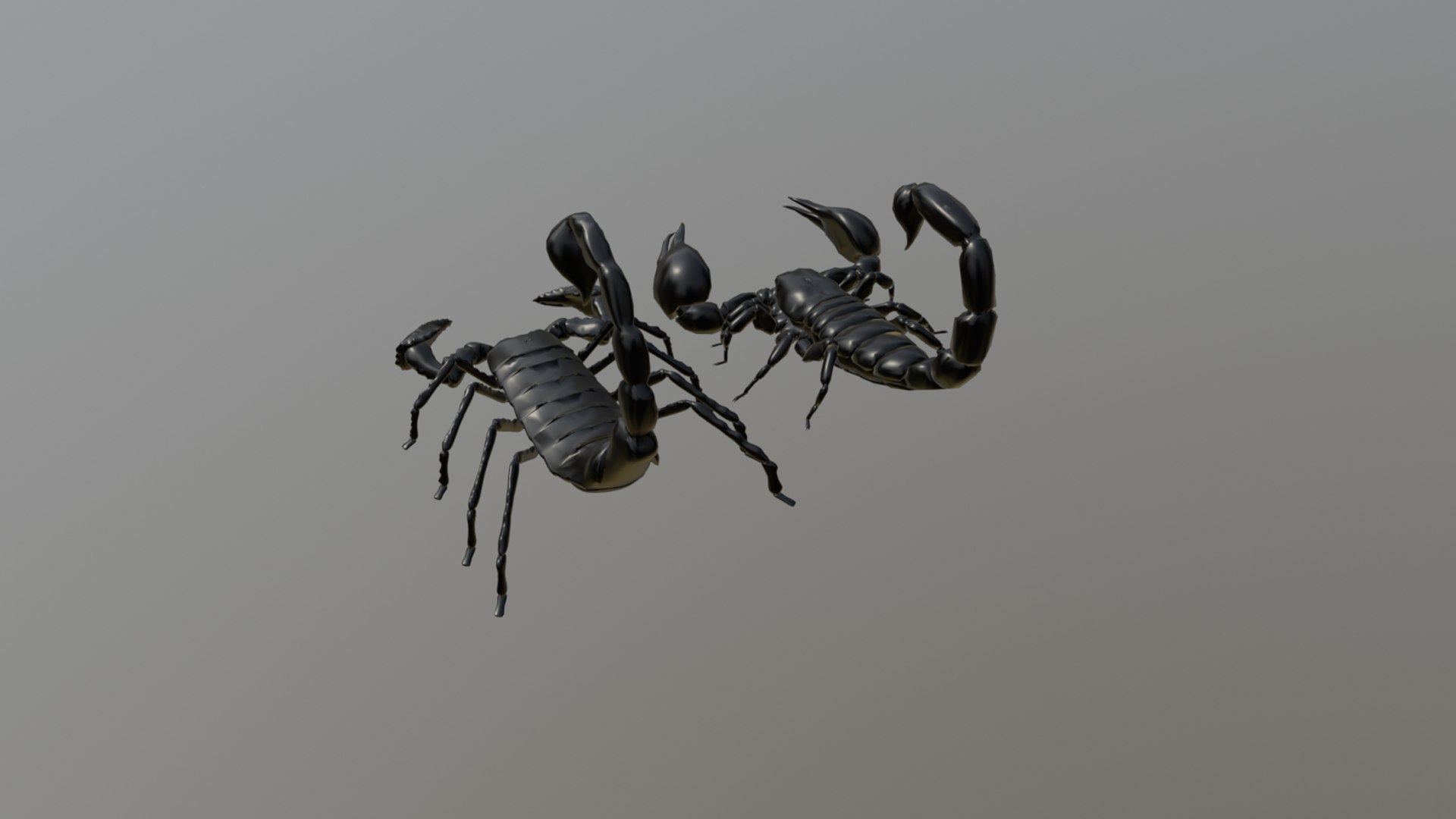 Scorpions 3D Model - TurboSquid 2312976