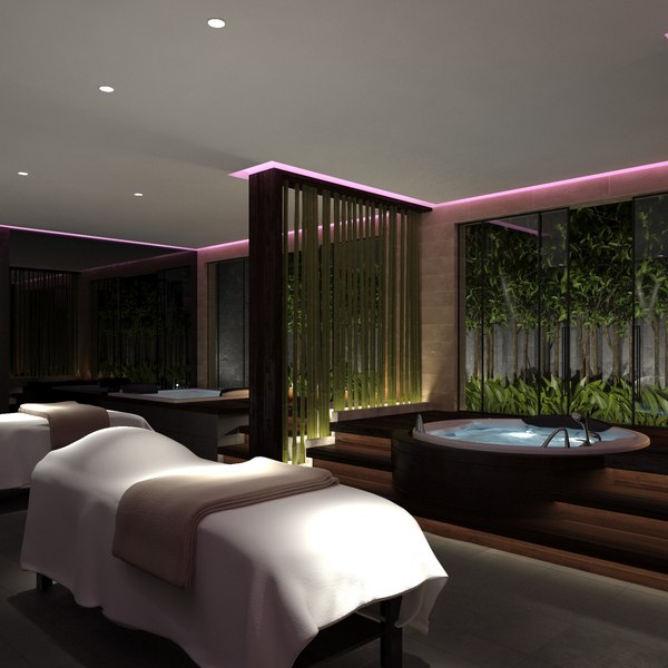 scene spa massage 3d model