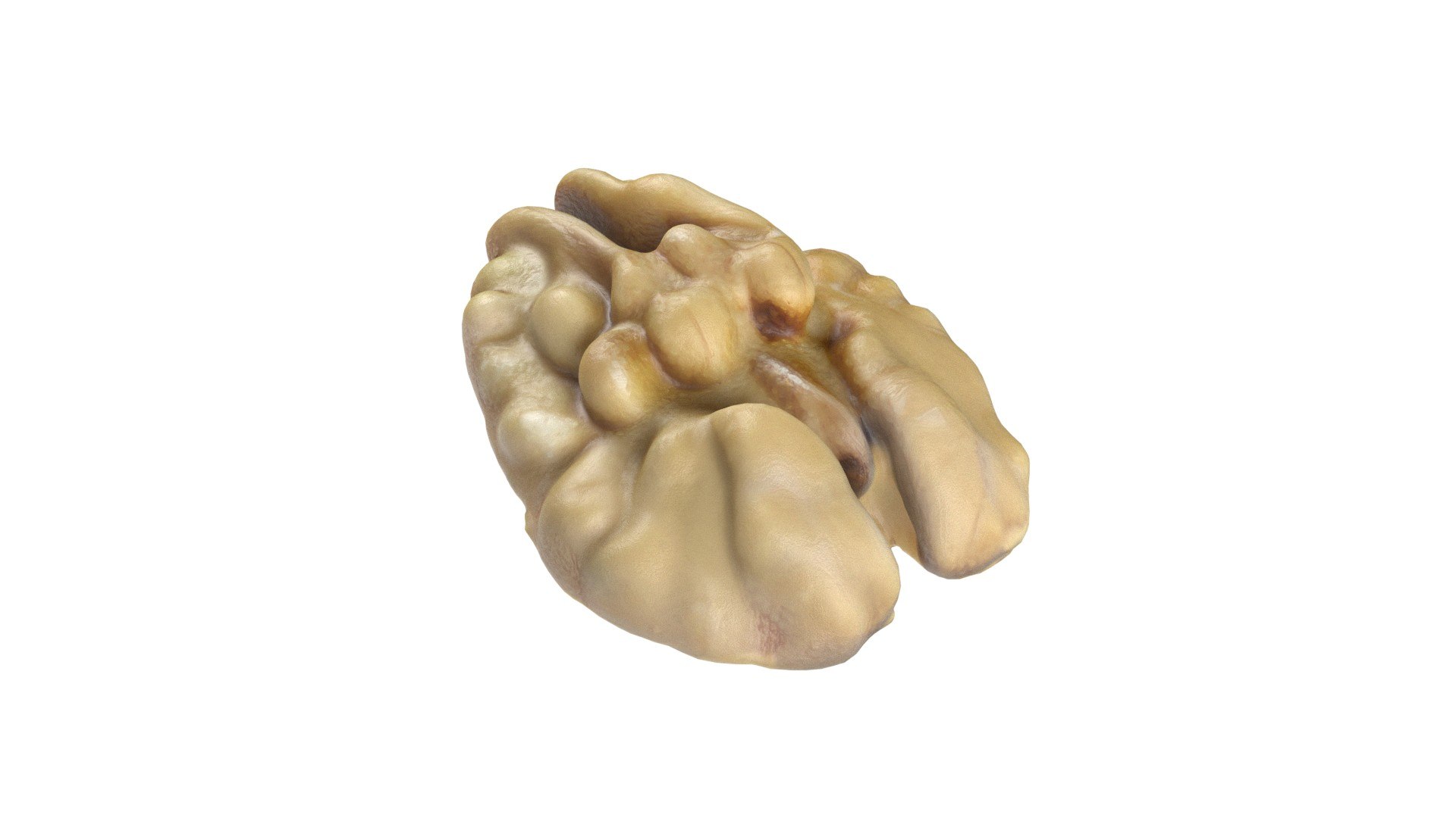 Walnut Kernel V2 Model - TurboSquid 2397361