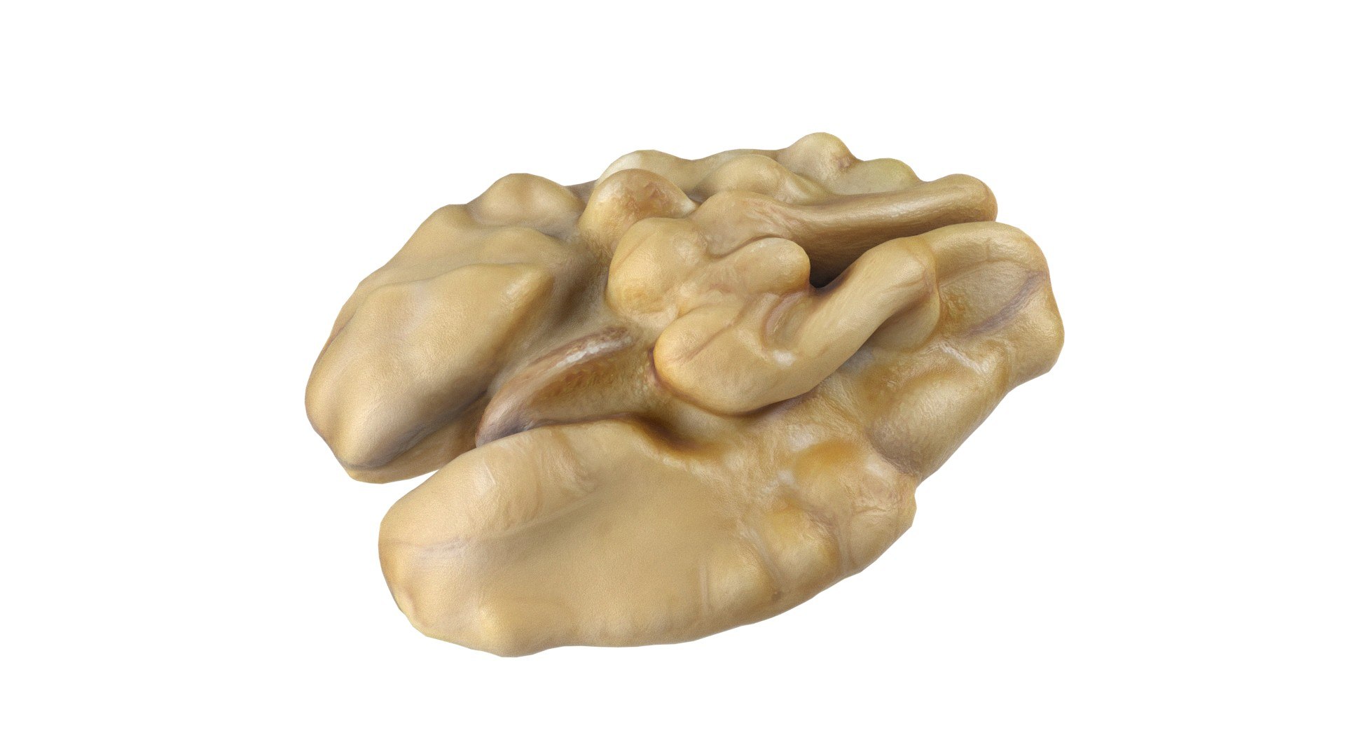 Walnut Kernel V2 Model - TurboSquid 2397361