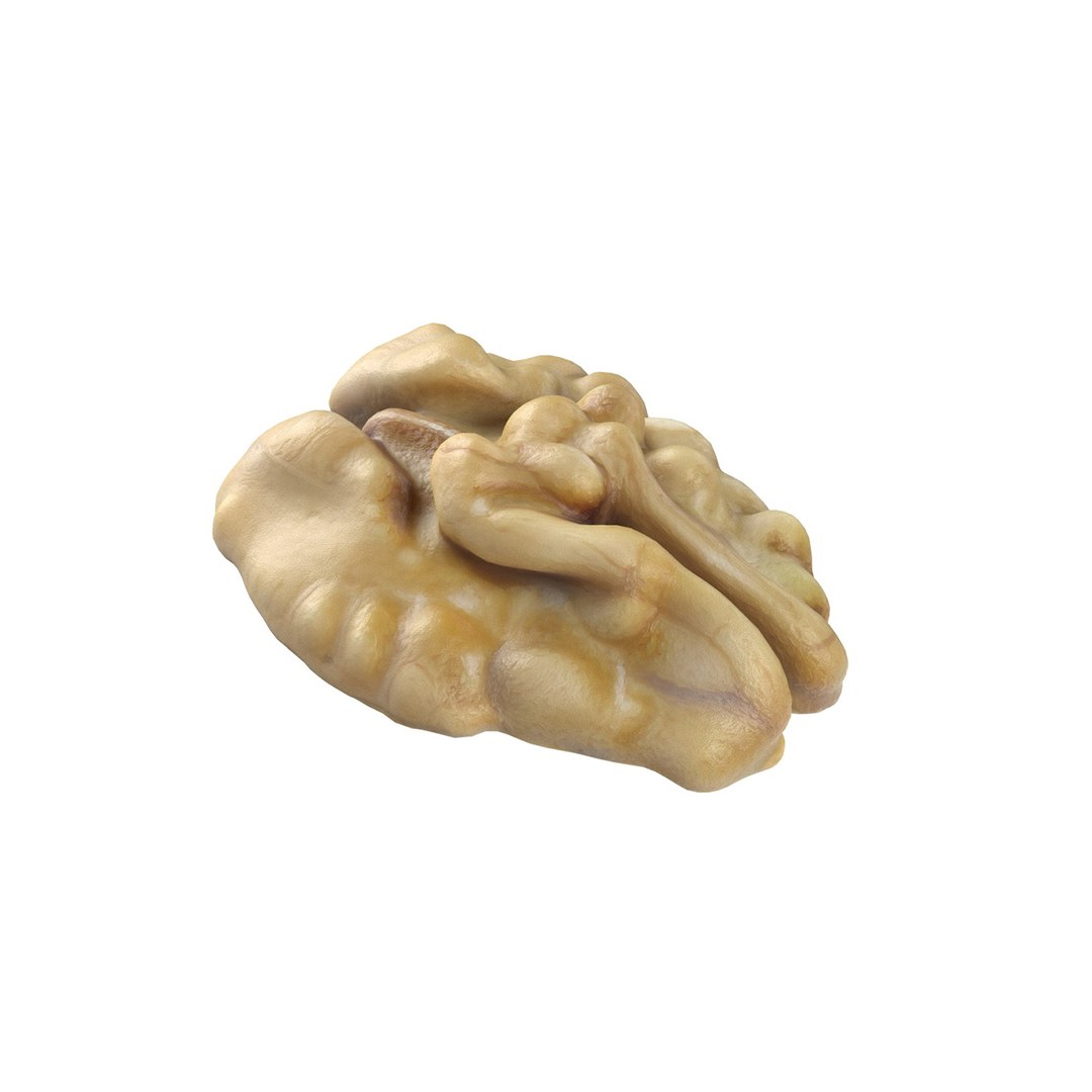 Walnut Kernel V2 Model - TurboSquid 2397361