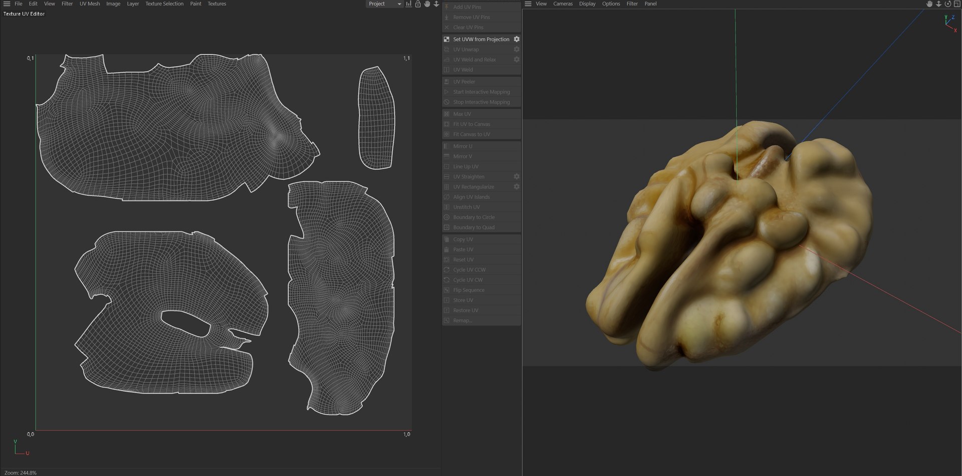 Walnut Kernel V2 Model - TurboSquid 2397361