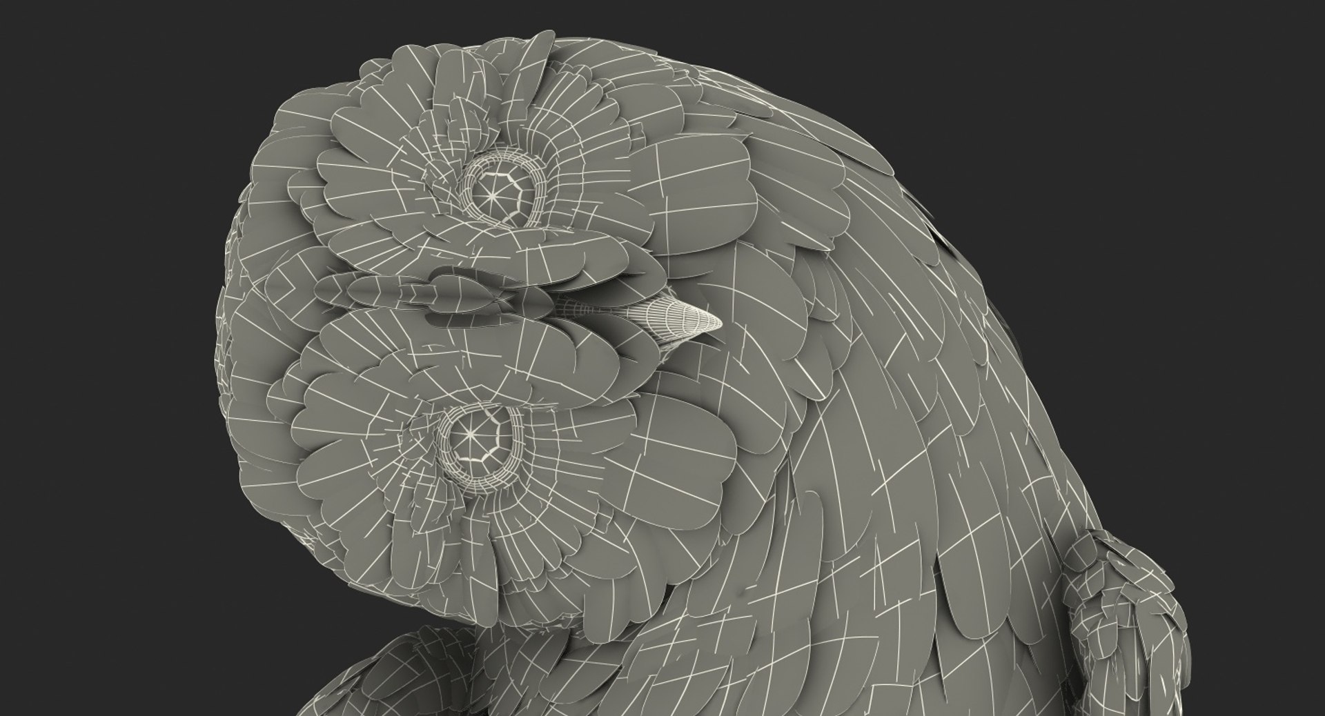 3D Barn Owl Rigged Model - TurboSquid 1479073