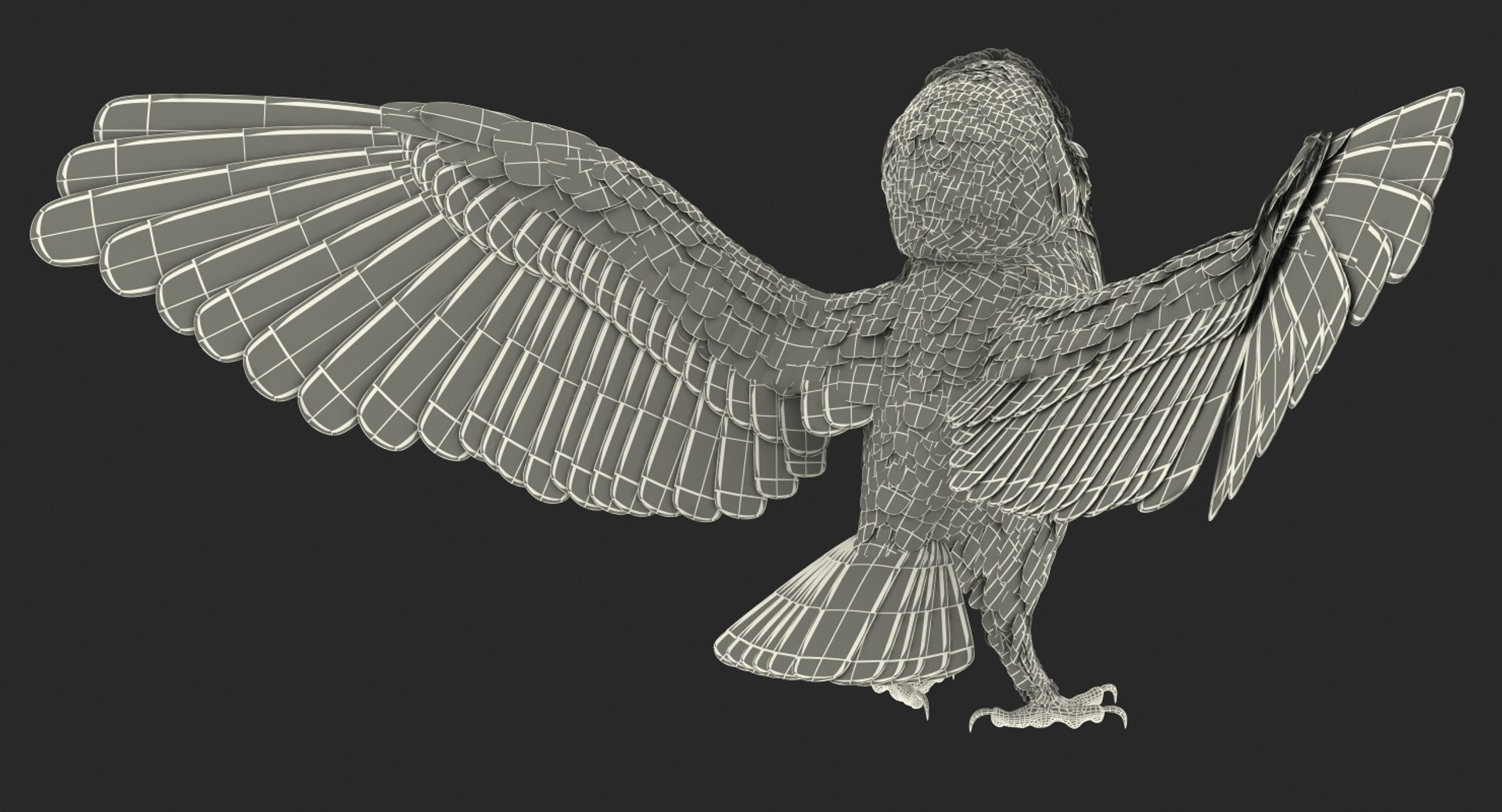 3D Barn Owl Rigged Model - TurboSquid 1479073