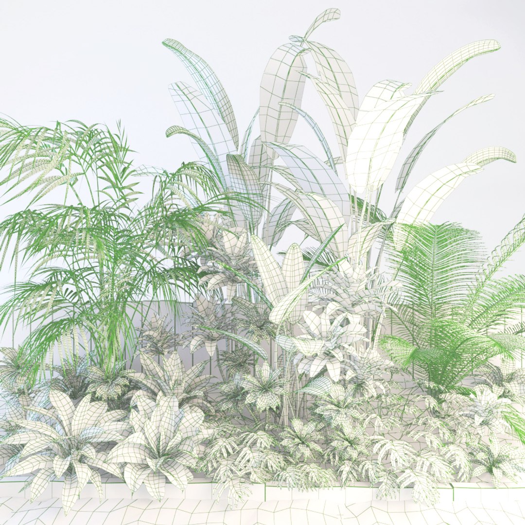 Palm Composition Model - TurboSquid 1164303