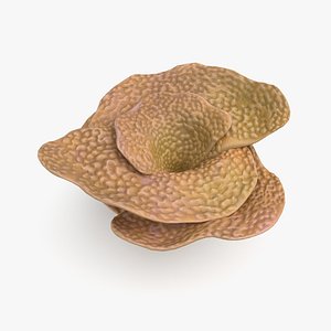 Ice Cream Cone Coral 3D Models for Download | TurboSquid