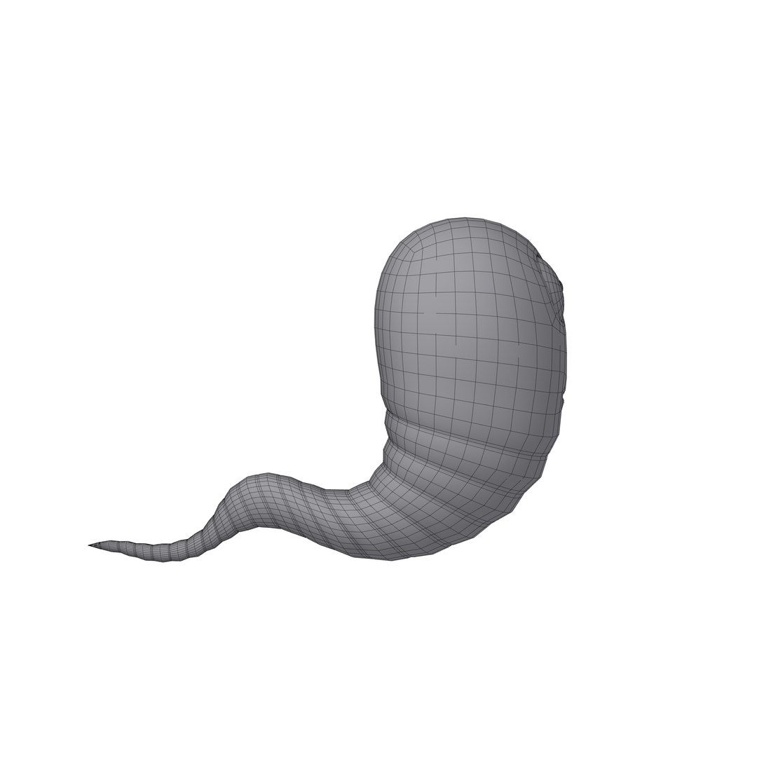 3D Worm Cartoon - TurboSquid 1675830