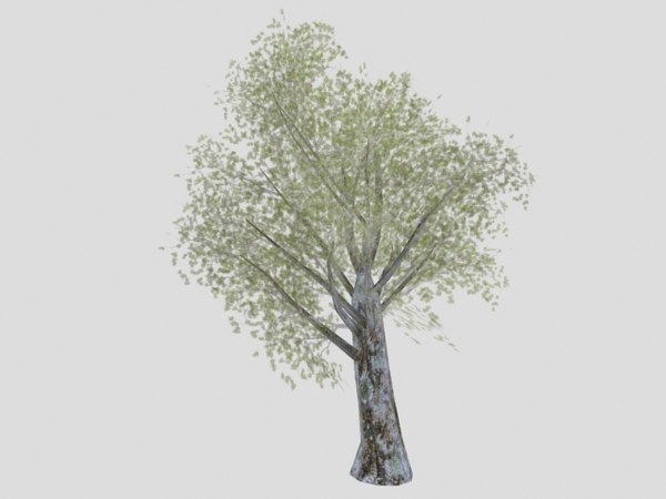 3d model tree