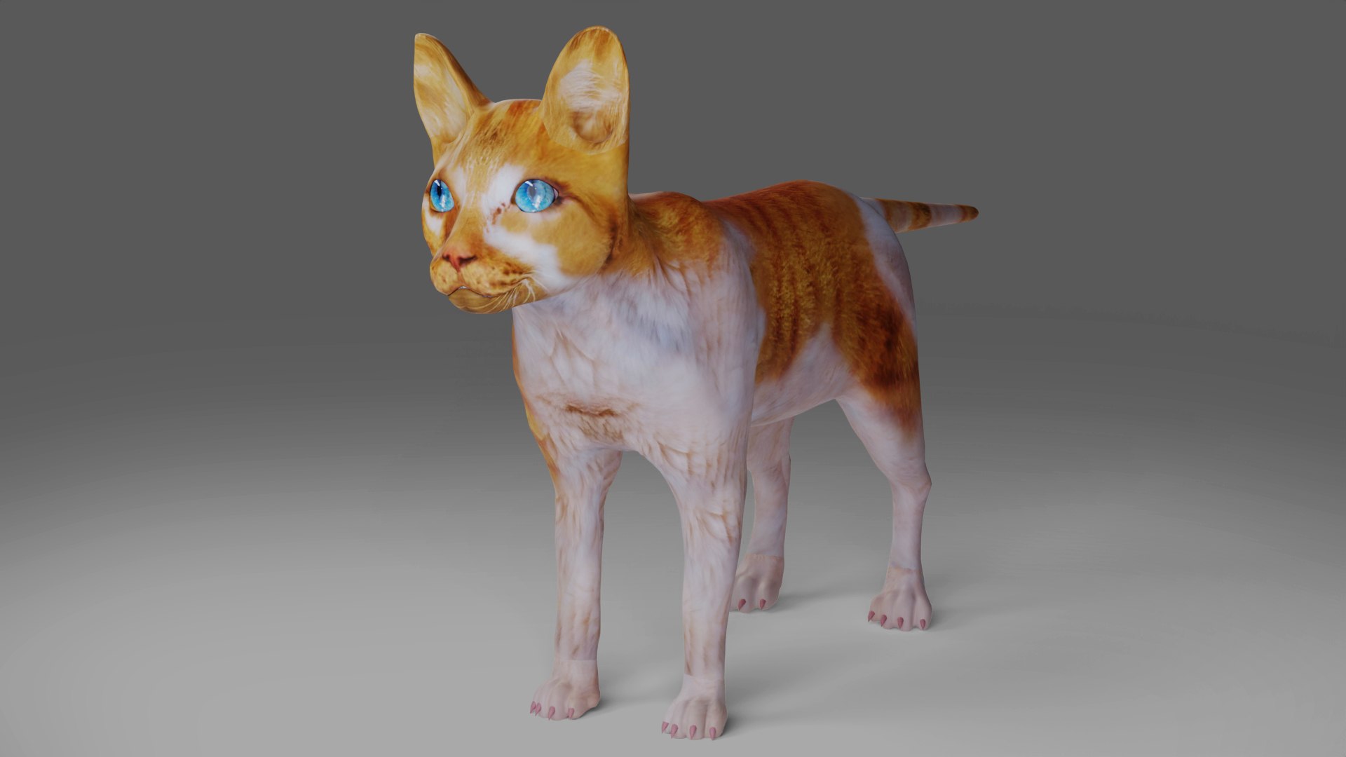 3D Calico Cat Rigged V2 In Blender - TurboSquid 1985015