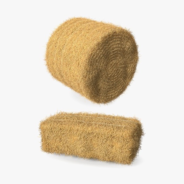 3D Straw Models | TurboSquid