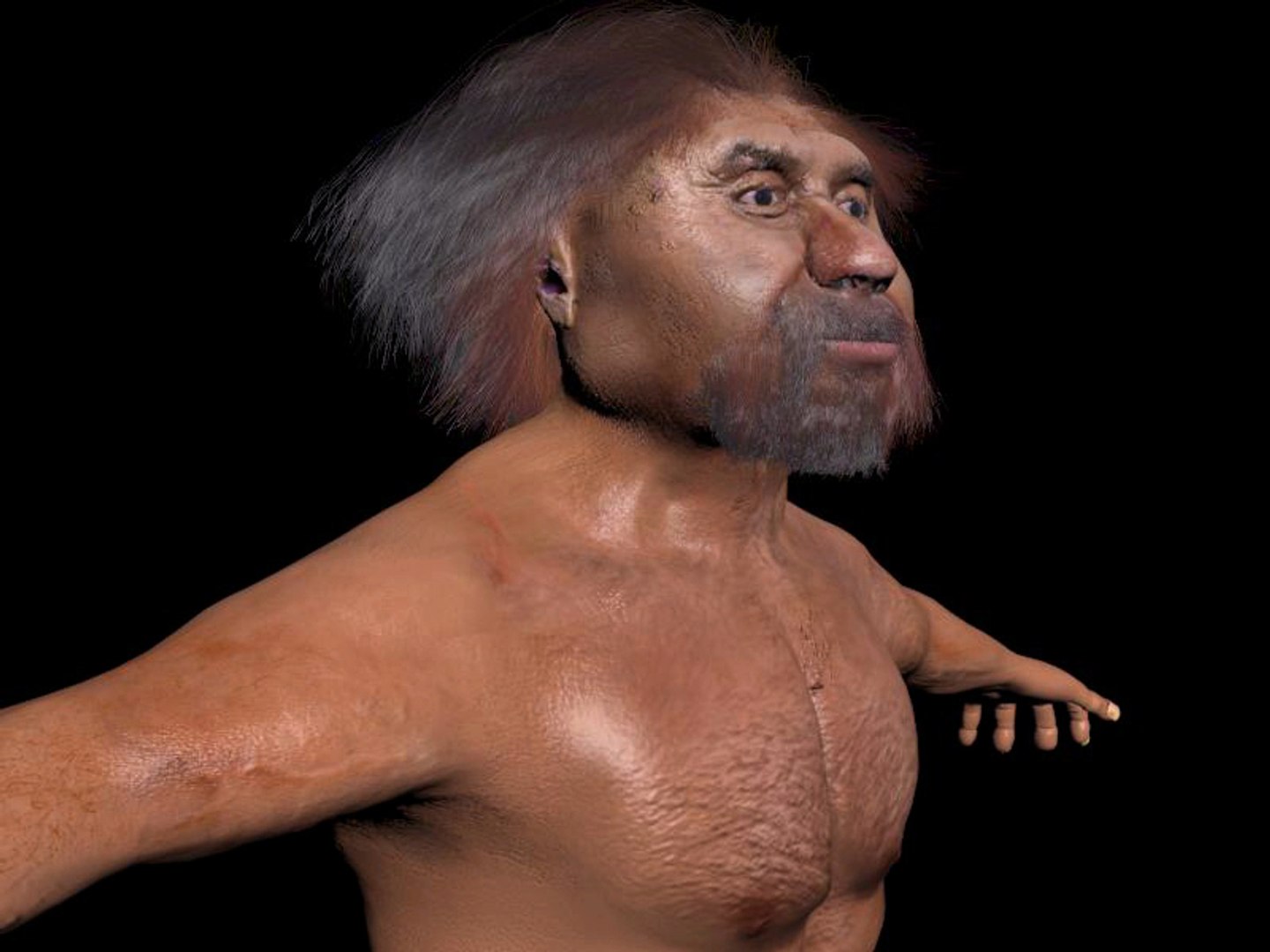 3d Neanderthal Man Model