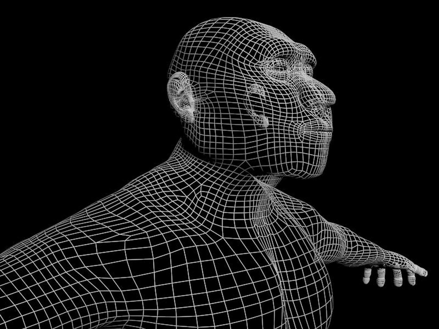 3d Neanderthal Man Model