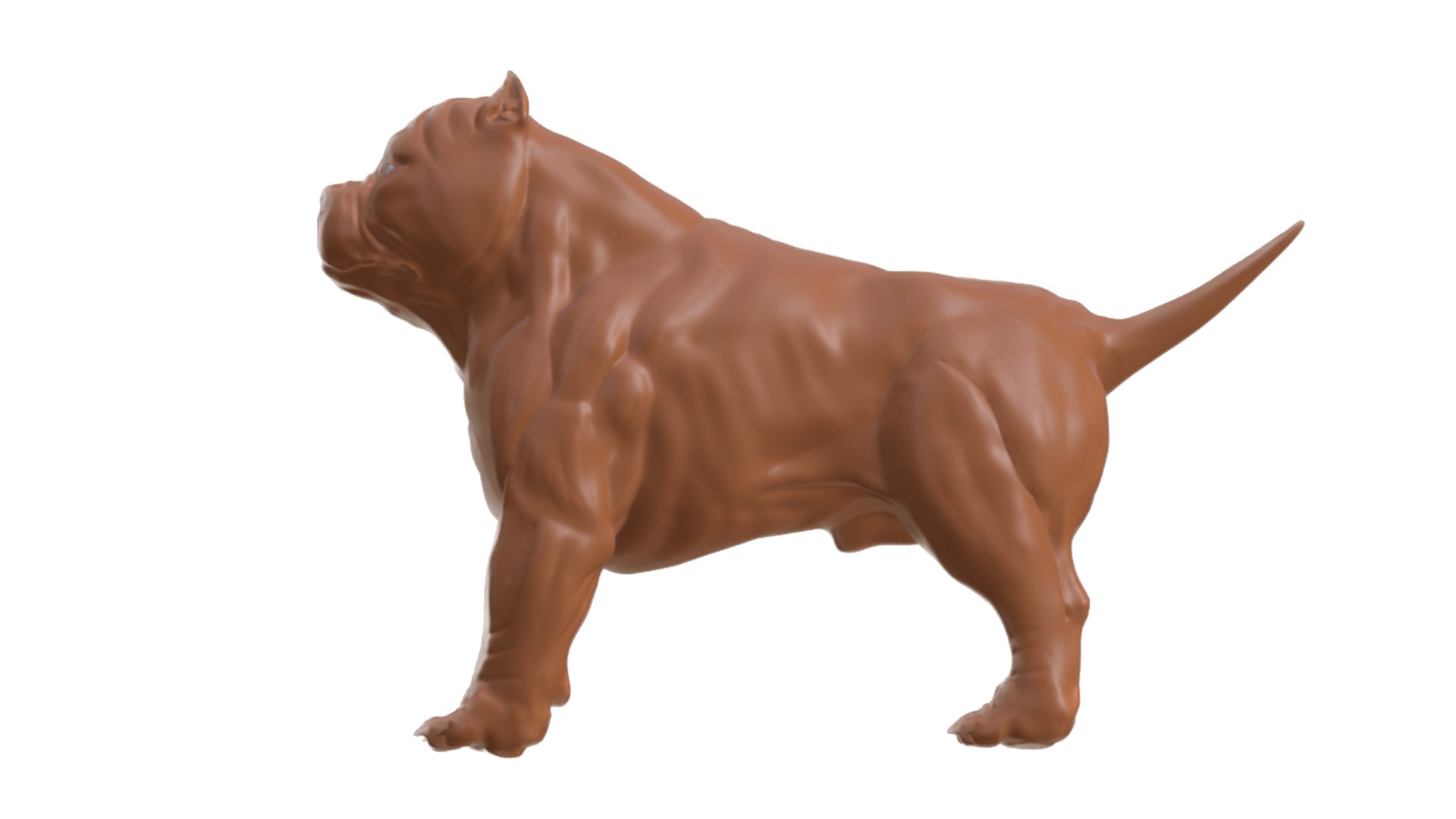 3D American Bully - TurboSquid 2045969