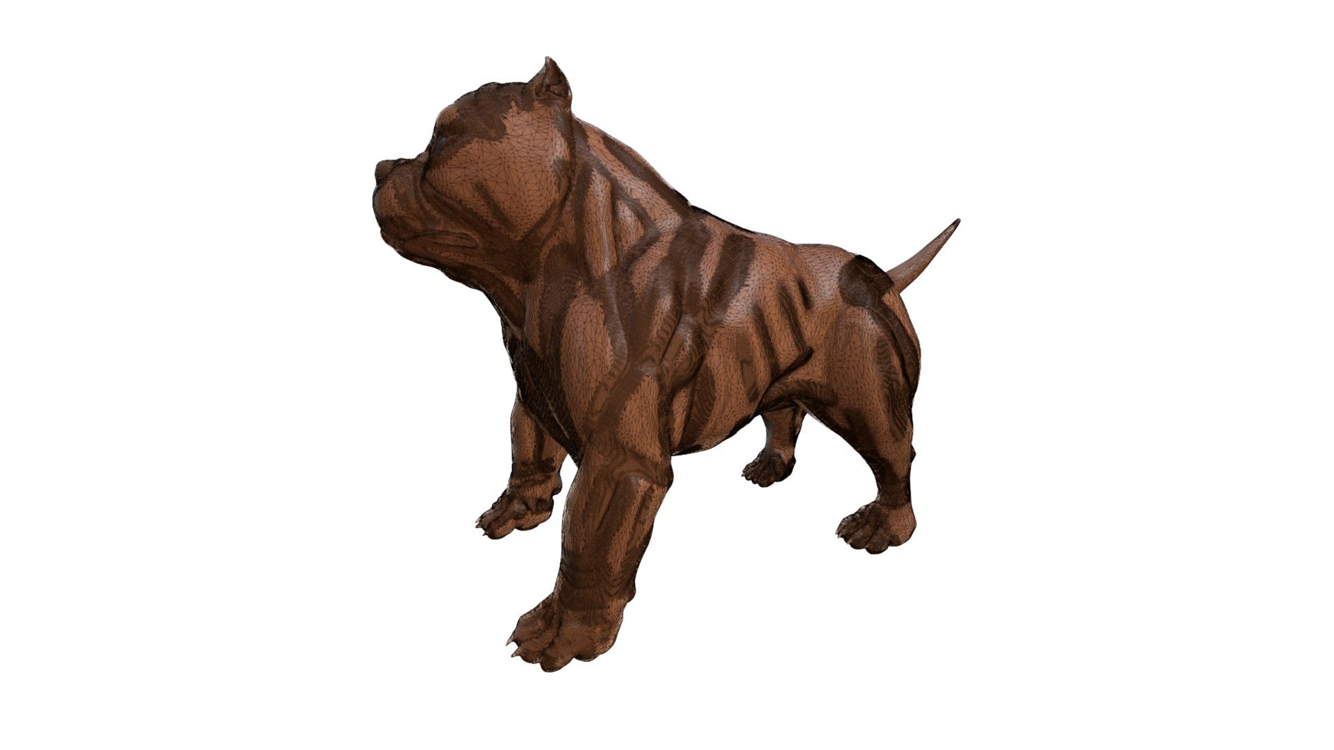3D American Bully - TurboSquid 2045969