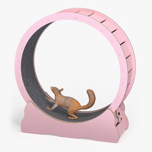 3D Squirrel Models - Browse & Download Formats - TurboSquid