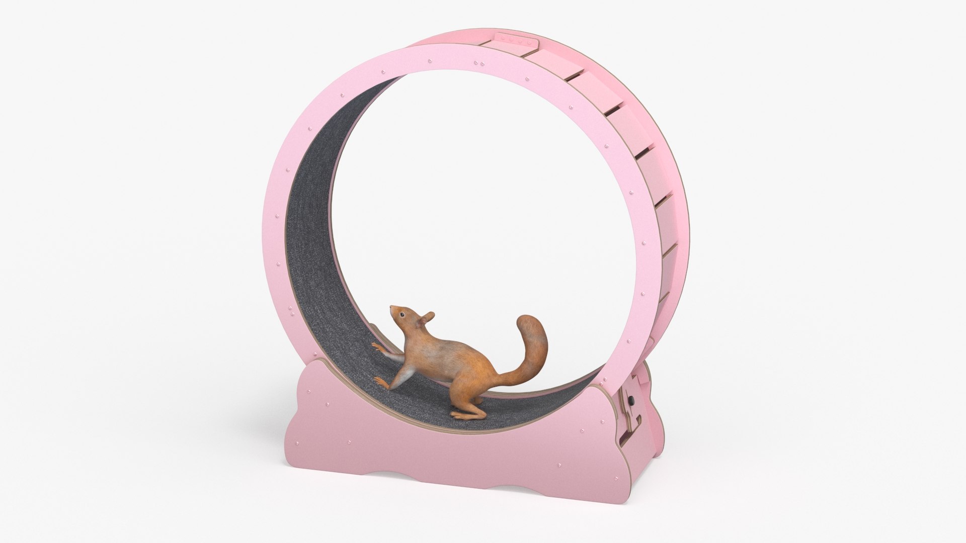 Squirrel In Pet Running Wheel 3D - TurboSquid 2306786