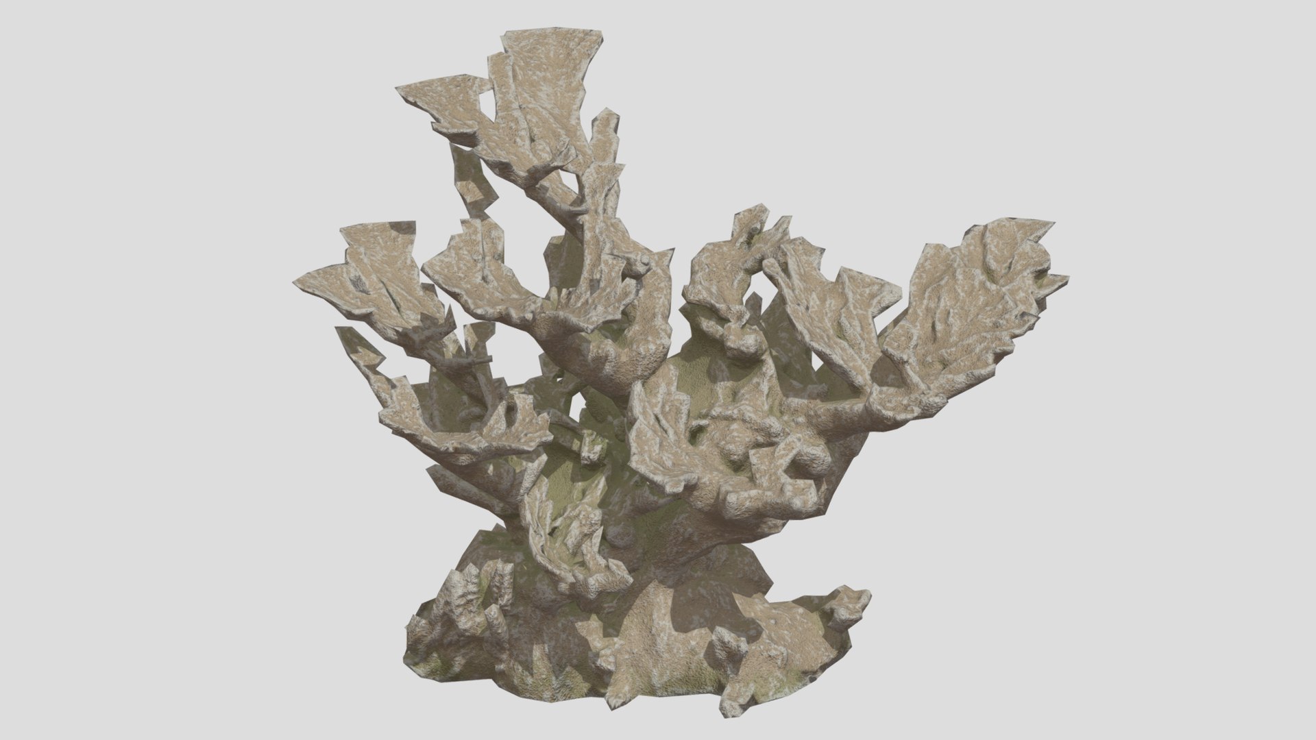 Elkhorn Coral Low Poly - 3ds Max Standard 3D - TurboSquid 2272687