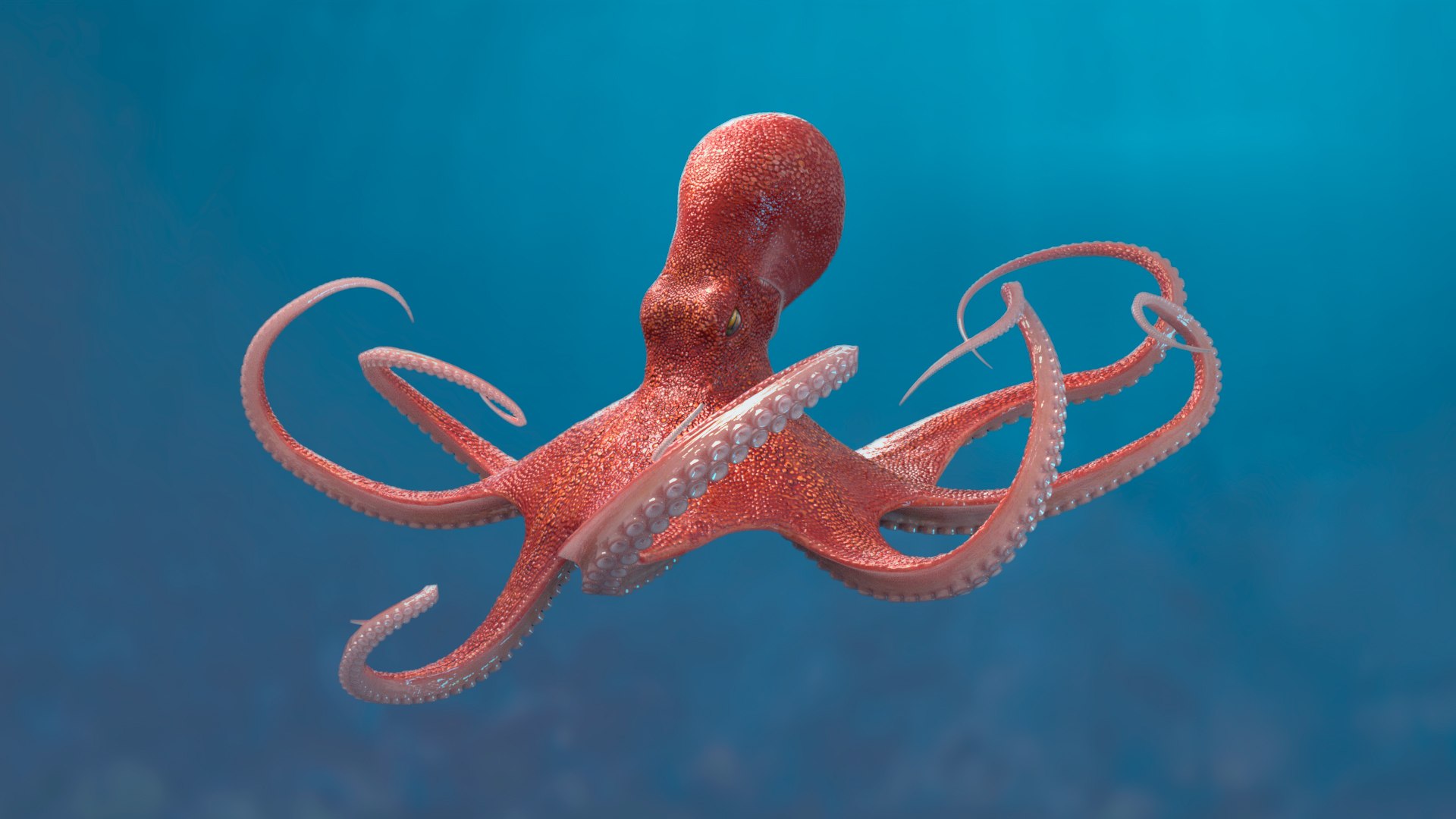 3D Octopus Animated Multicolor - TurboSquid 2221820