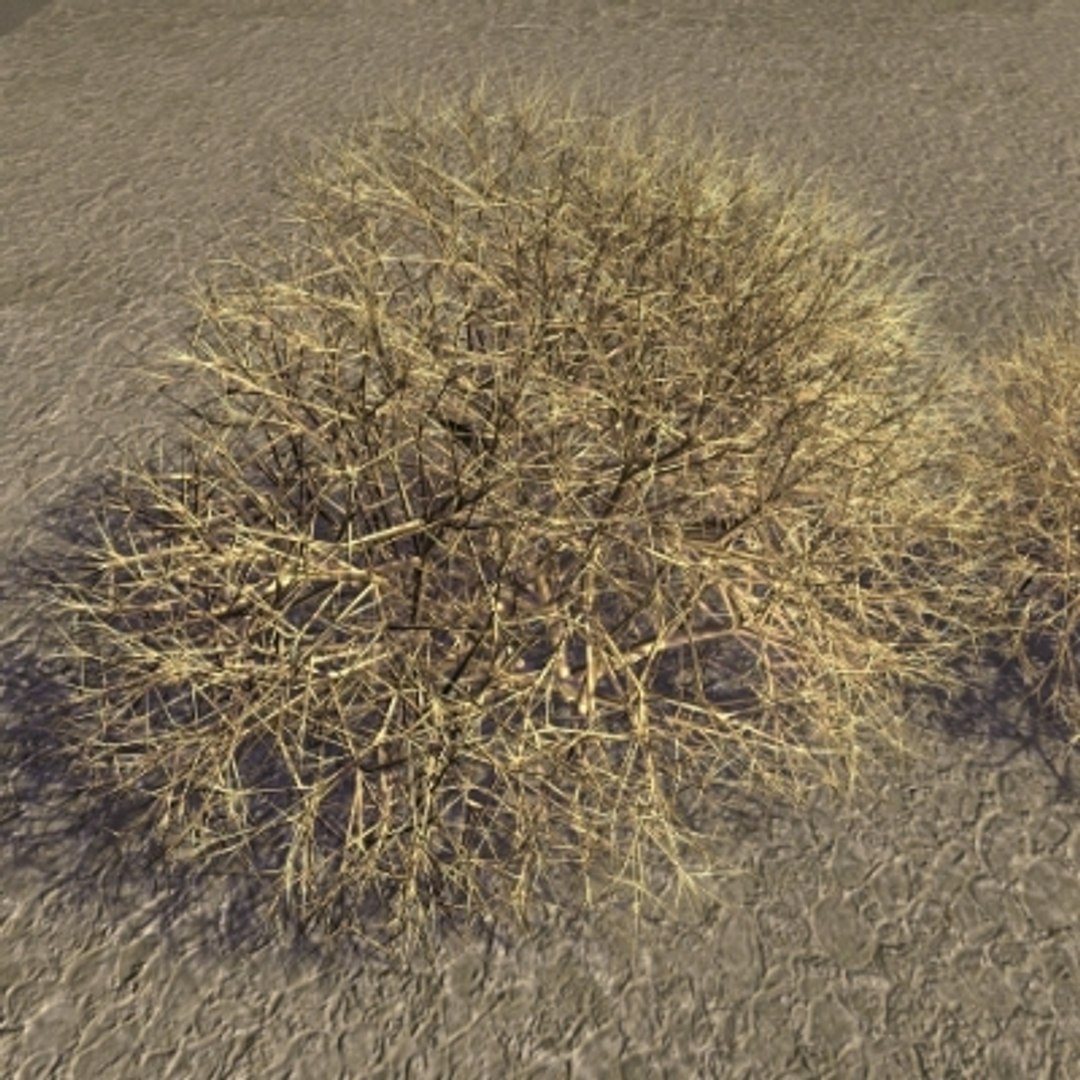 3d Max Tumble Weed