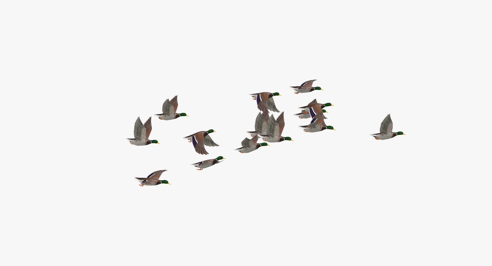 Small Flocks Ducks Flying Model - TurboSquid 1333185