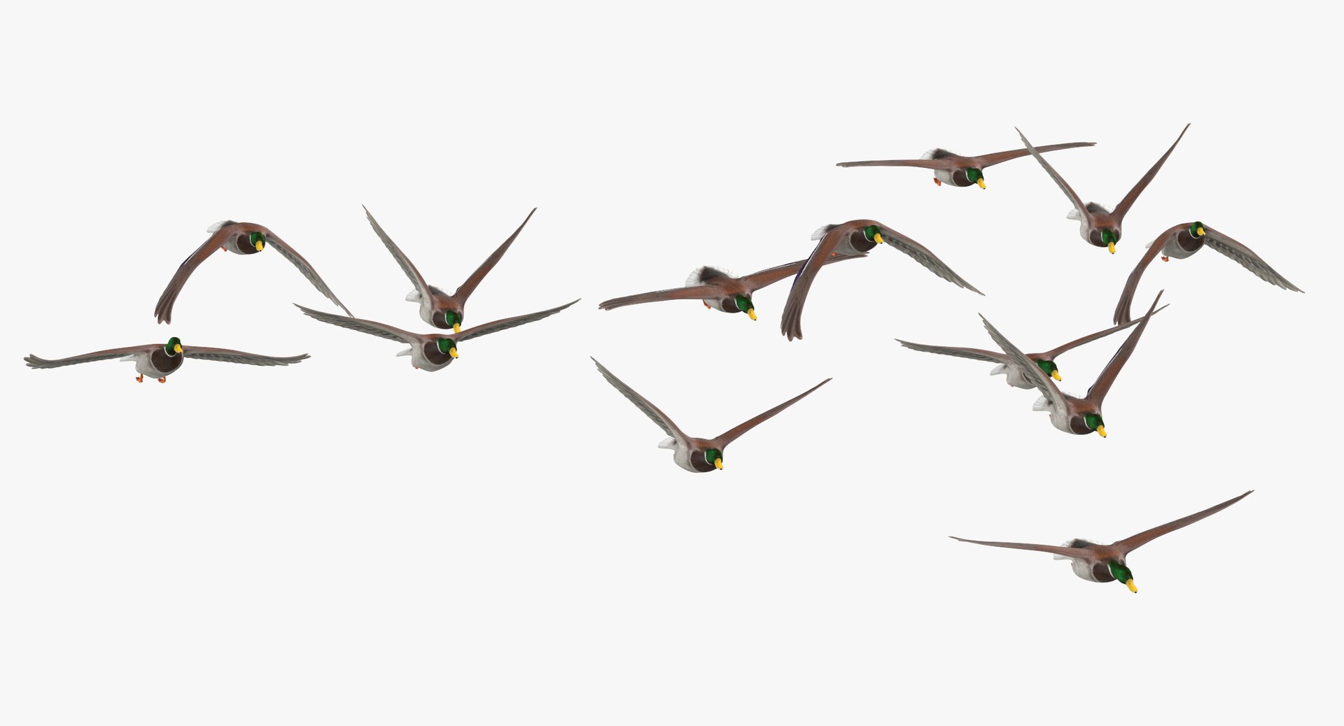 Small Flocks Ducks Flying Model - TurboSquid 1333185