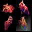 3d human heart animation