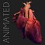3d human heart animation