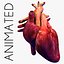 3d human heart animation
