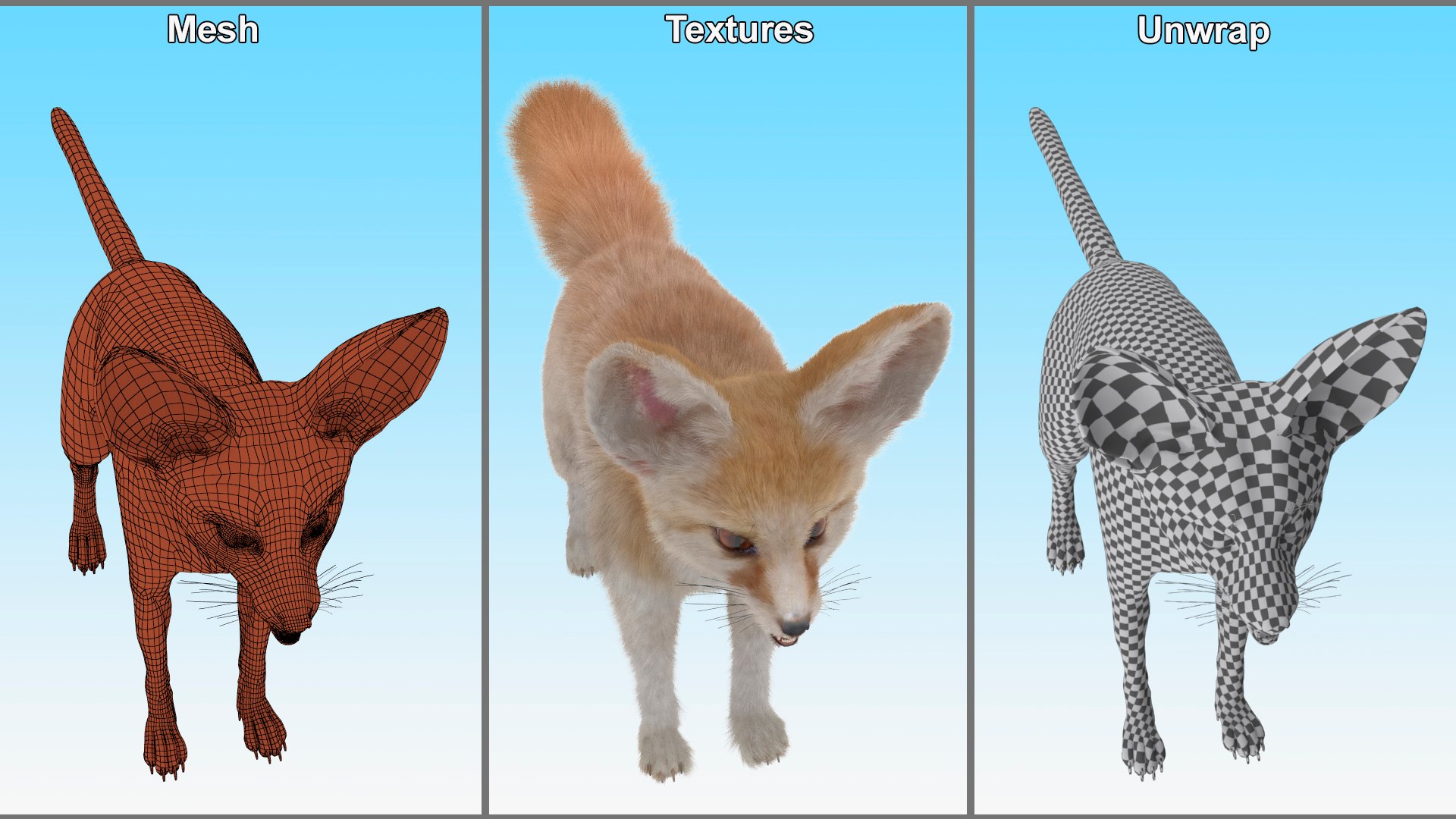 3D Fennec Fox Fur - TurboSquid 2182905