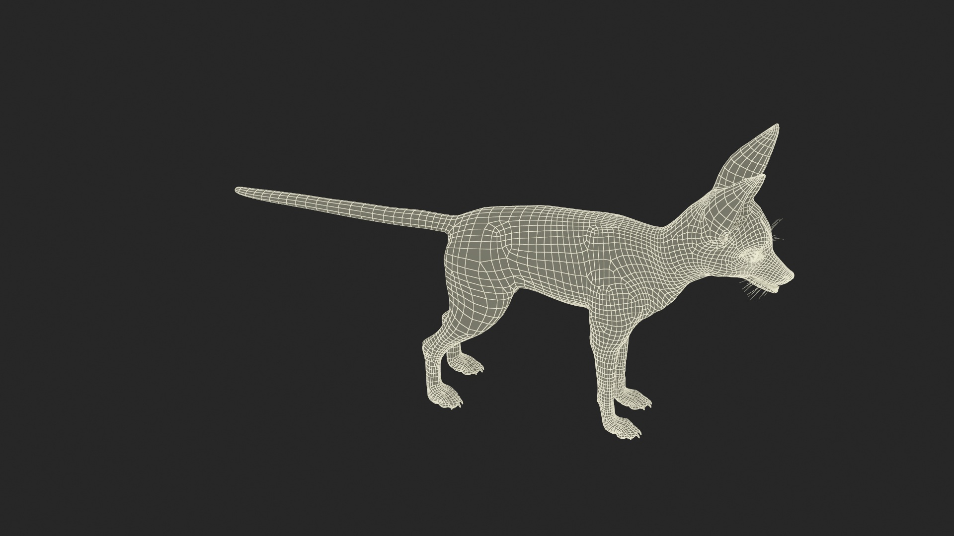 3D Fennec Fox Fur - TurboSquid 2182905