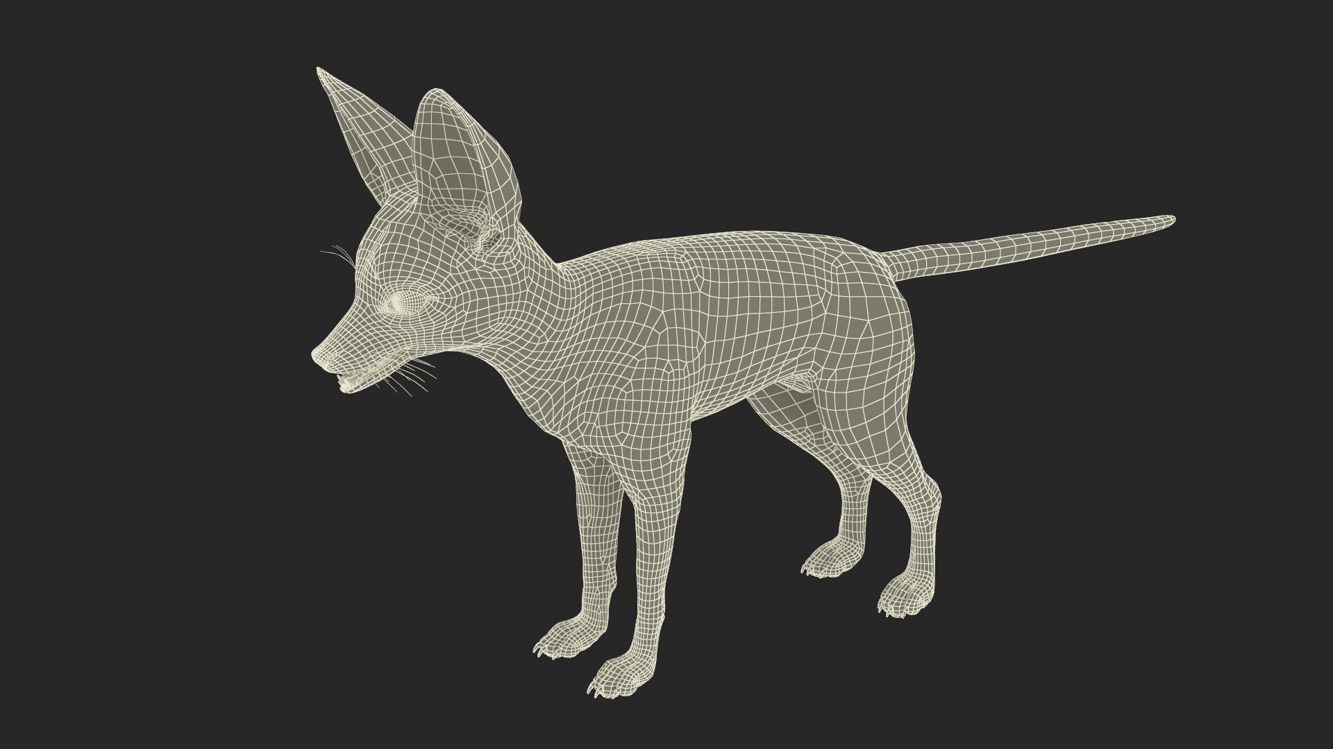 3D Fennec Fox Fur - TurboSquid 2182905