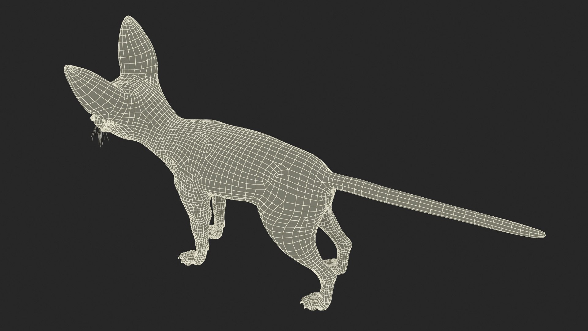 3D Fennec Fox Fur - TurboSquid 2182905